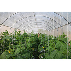 Mono Filament Shade Nets Manufacturing Company in Gujarat, India