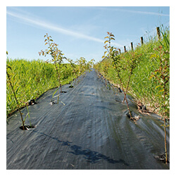 Weed Mate Manufacturing Company in Gujarat, India